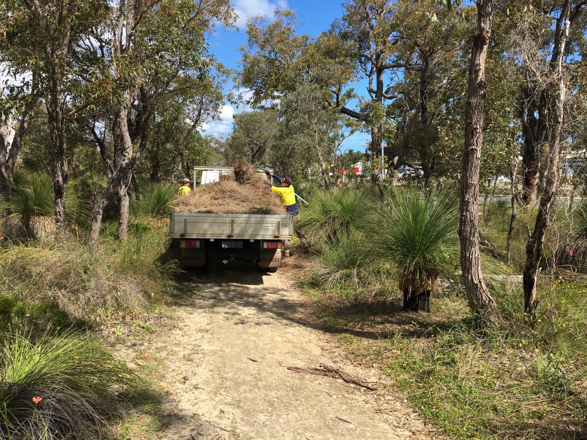 Bushfire Mitigation - Natural Area