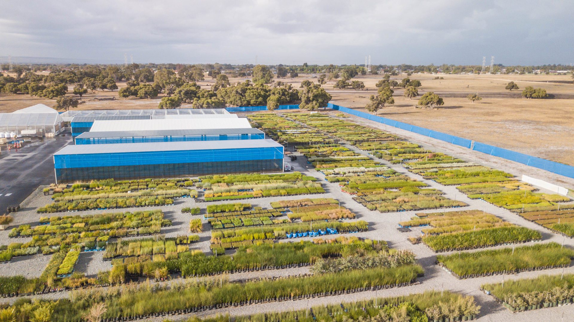Native Horticultural Services - Natural Area Perth Native Nursery